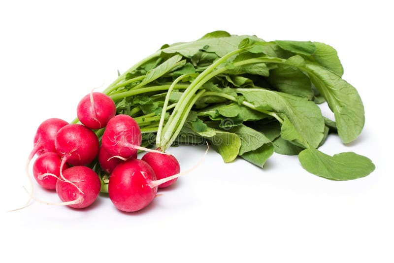 Ravanello immagine stock. Immagine di fresco, ingredienti - 4388455