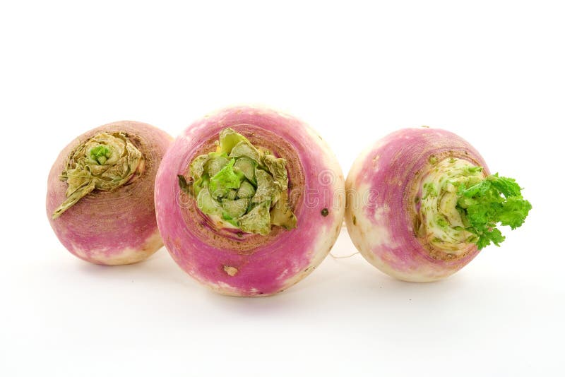 Ravanello immagine stock. Immagine di vegetariano, vitamine - 3537243