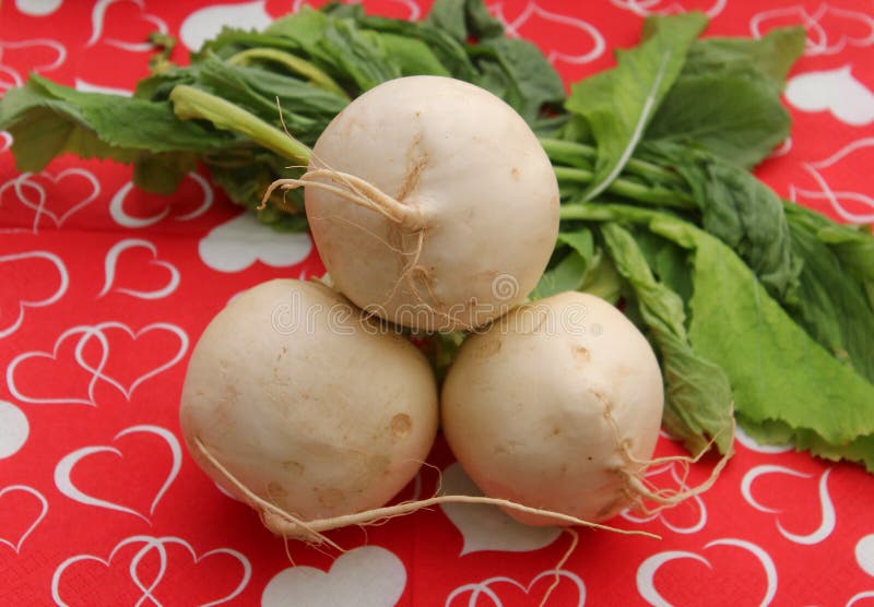 Ravanello bianco immagine stock. Immagine di insalata - 11737243