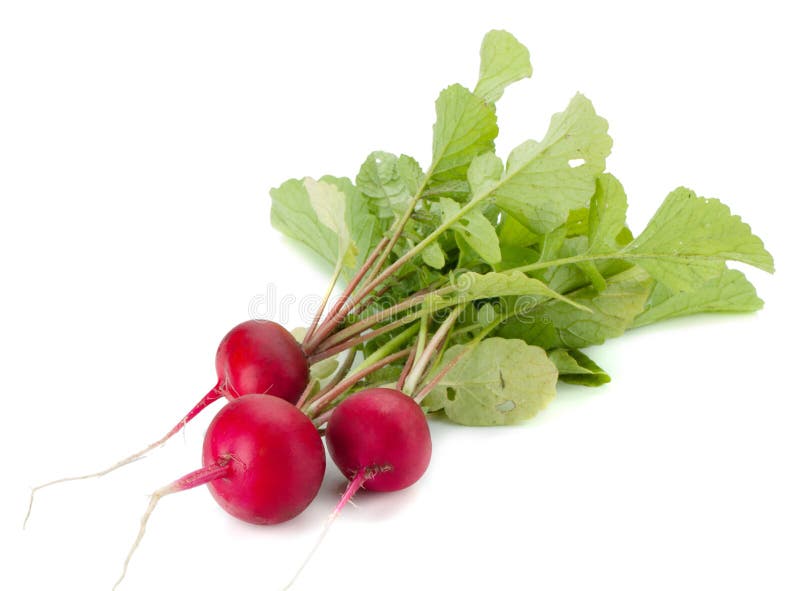 Ravanello immagine stock. Immagine di verdura, salute - 4462651