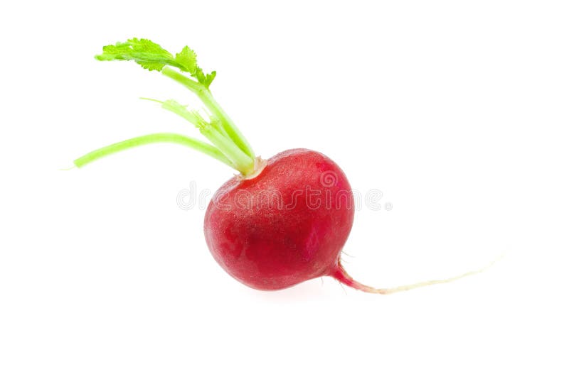 Ravanello Isolato Su Bianco Fotografia Stock - Immagine di consumo ...