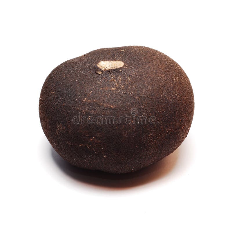 Ravanello nero fotografia stock. Immagine di fresco, sano - 13099486