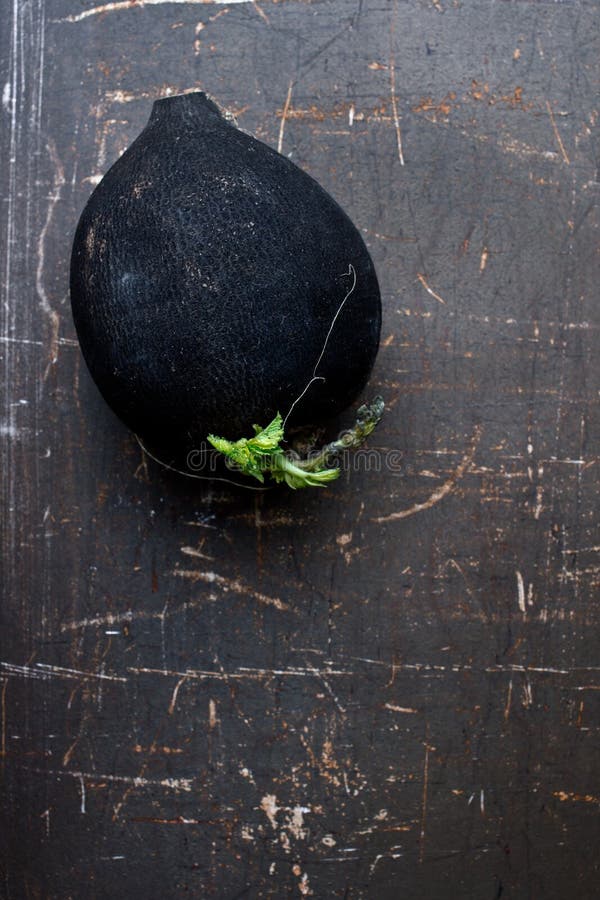 Ravanello nero fotografia stock. Immagine di pasto, insalata - 28299514