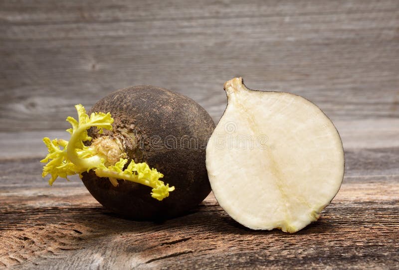 Ravanello nero immagine stock. Immagine di ingrediente - 62745225