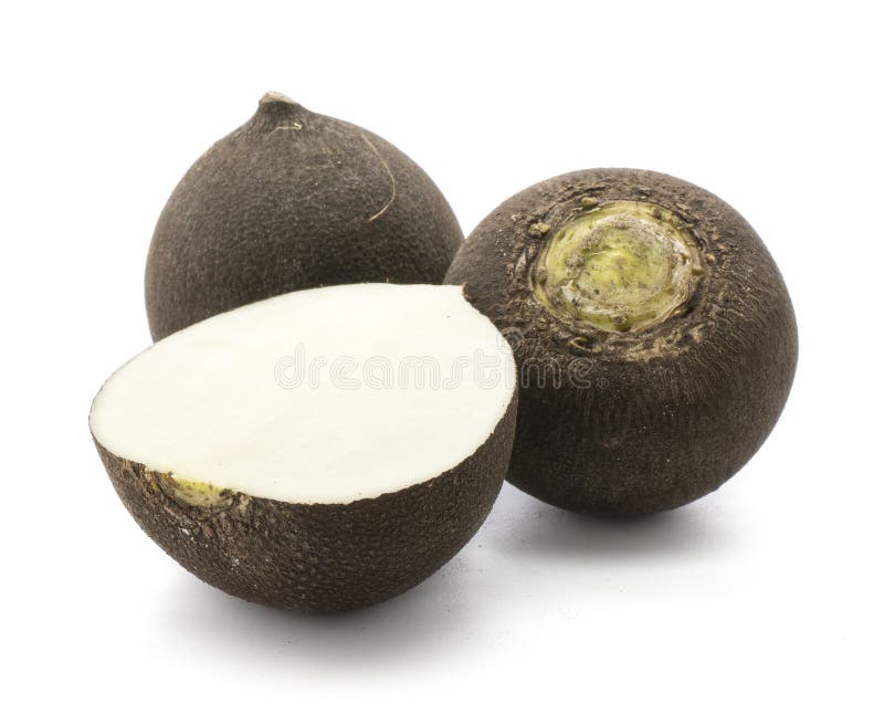 Ravanello Nero Crudo Isolato Fotografia Stock - Immagine di marrone ...