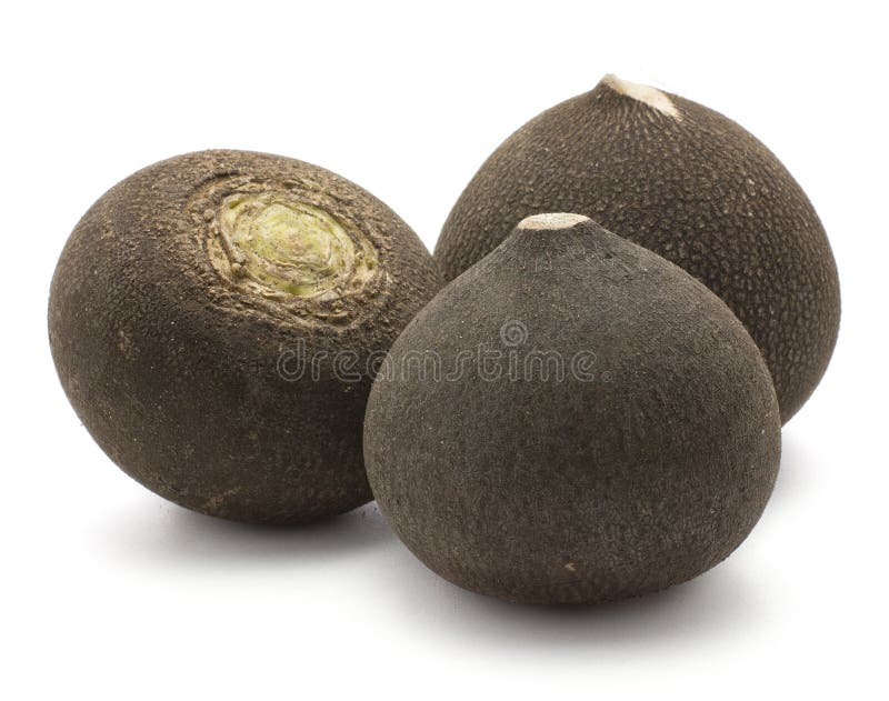 Ravanello Nero Crudo Isolato Fotografia Stock - Immagine di marrone ...