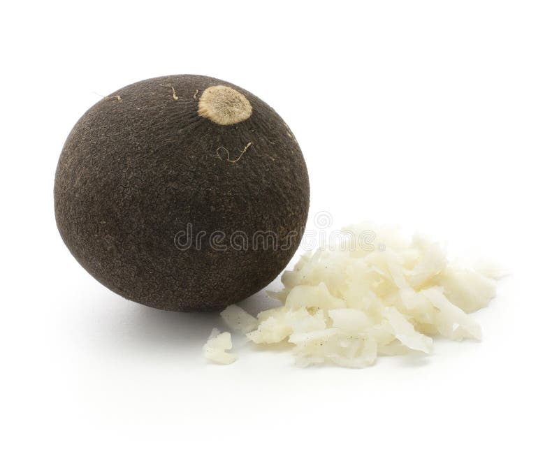 Ravanello Nero Crudo Isolato Fotografia Stock - Immagine di marrone ...