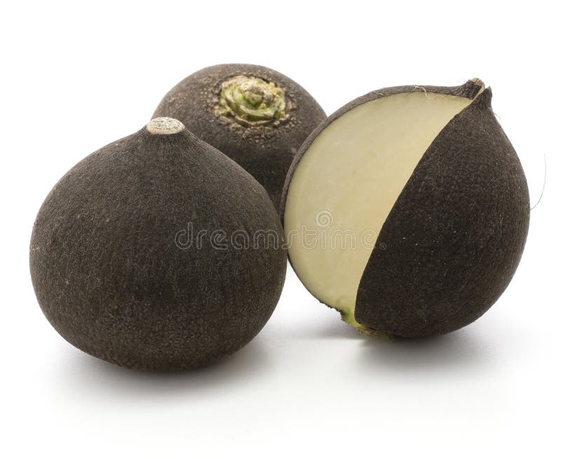 Ravanello Nero Crudo Isolato Fotografia Stock - Immagine di marrone ...