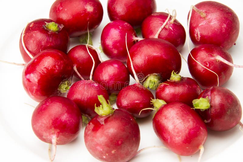 Ravanello rosso immagine stock. Immagine di verde, agricoltura - 39998087