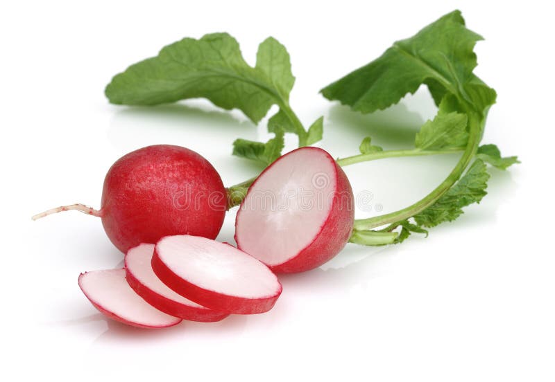 Ravanello rosso fresco fotografia stock. Immagine di cetrioli - 66514106