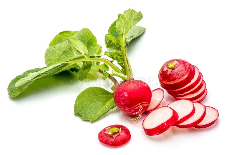 Ravanello rosso isolato fotografia stock. Immagine di lotto - 103872956