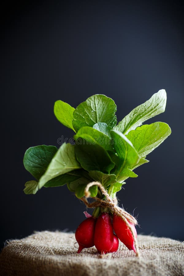 Ravanello Rosso Maturo Con Fogliame Fotografia Stock - Immagine di ...