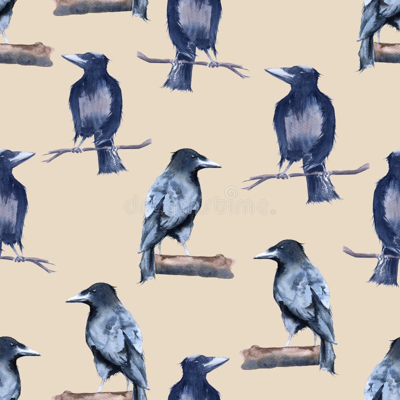 Raven Background Noire Configuration Sans Joint Illustration Stock ...