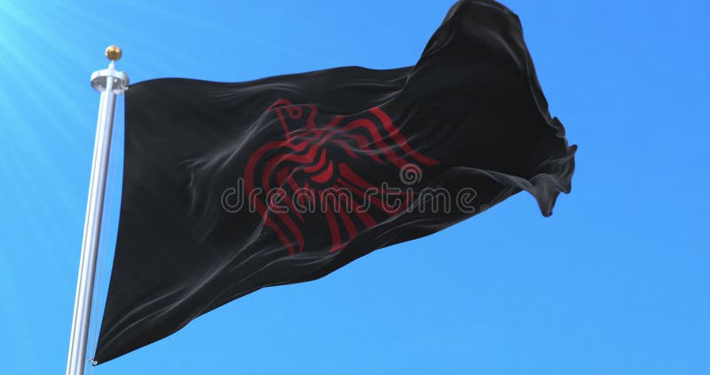 Raven Banner. Loop stock video. Video of flag, nation - 247488107