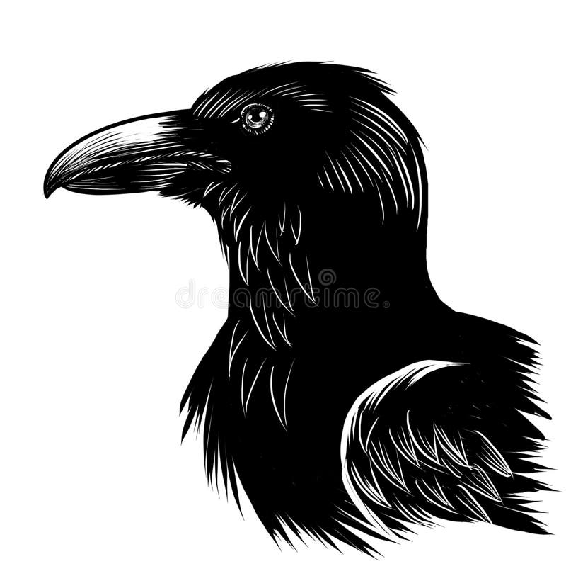 Cartoon Raven Head Stock Illustrations – 754 Cartoon Raven Head Stock ...