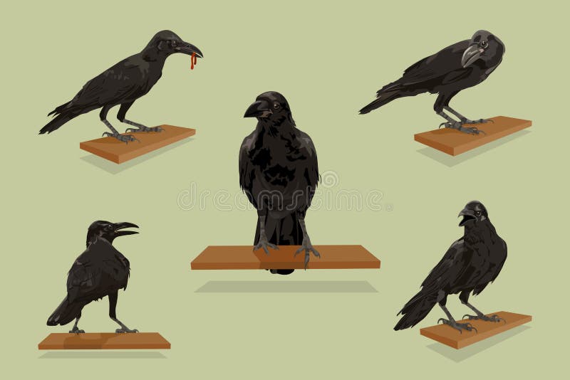 Family of Corvids Corvidae, Set Stock Illustration - Illustration of ...