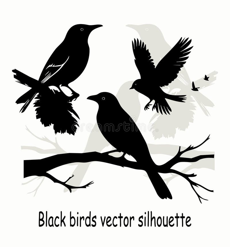 Raven Crow Birds Black Vector Shadow Silhouette Drawing Stock ...