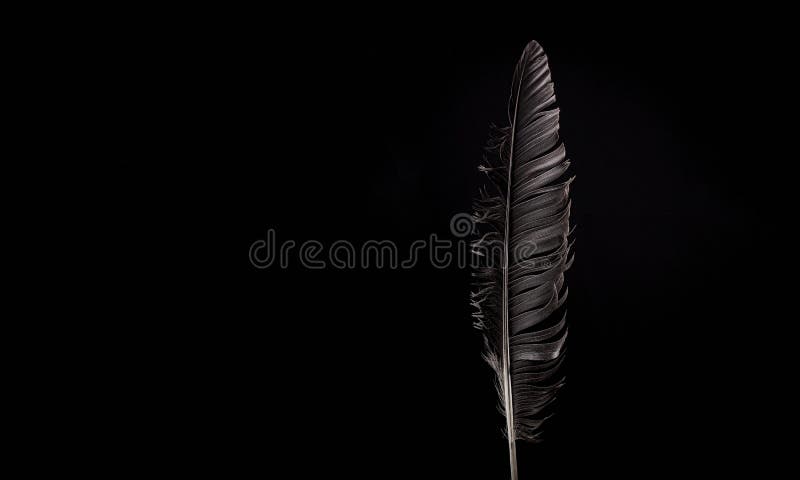 399 Raven Feather Texture Photos - Free & Royalty-Free Stock Photos ...