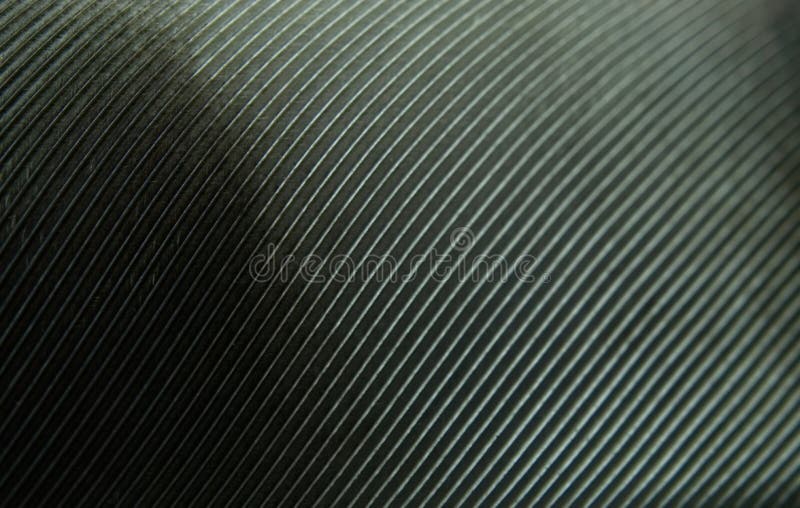 Raven feather texture stock image. Image of raven, view - 127483123