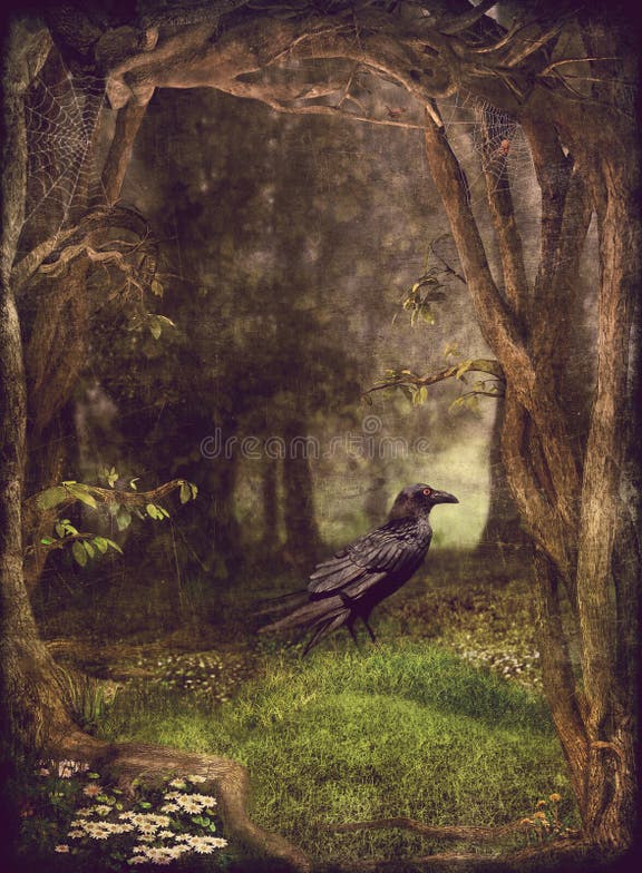 Raven in forest stock illustration. Illustration of flowers - 19764443