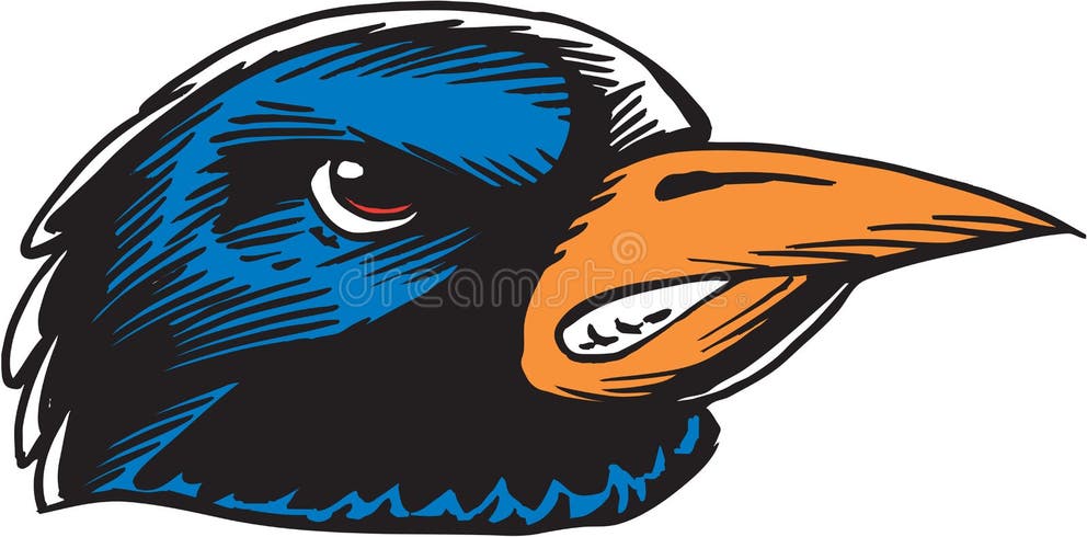 Raven Head Vector Illustration Stock Vector - Illustration of vector ...