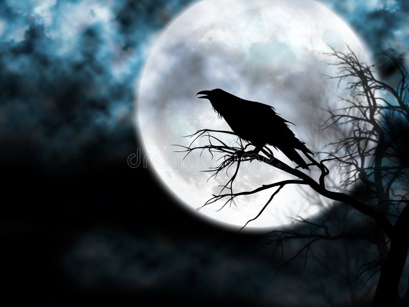 Raven on the Night Sky stock photo. Image of moon, black - 27148410