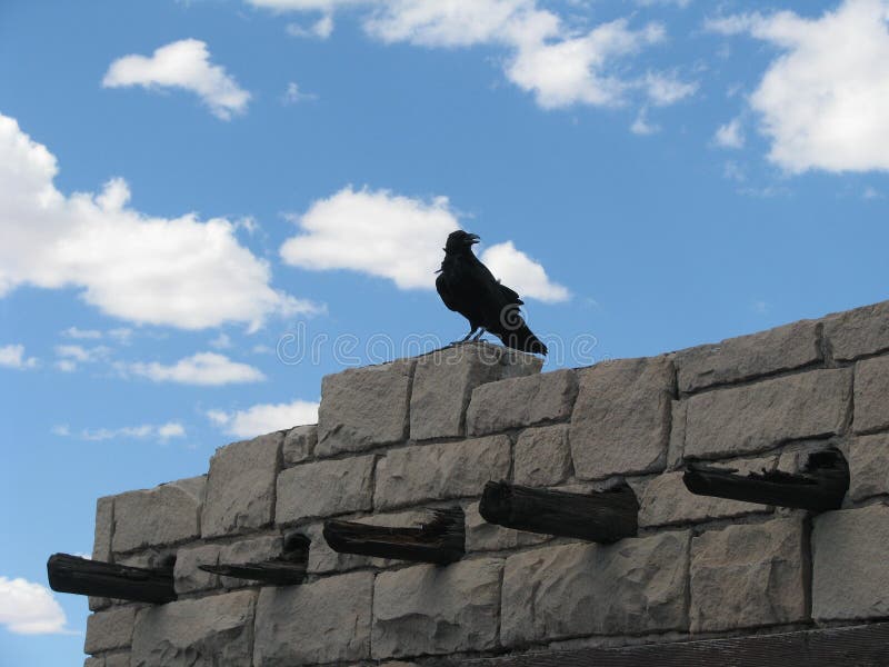 Raven Perched on Stone Building Stock Photo - Image of bird, perched ...
