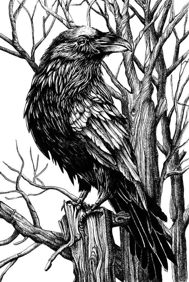 A Raven is Sitting on an Old Tree. Stock Image - Image of branches ...