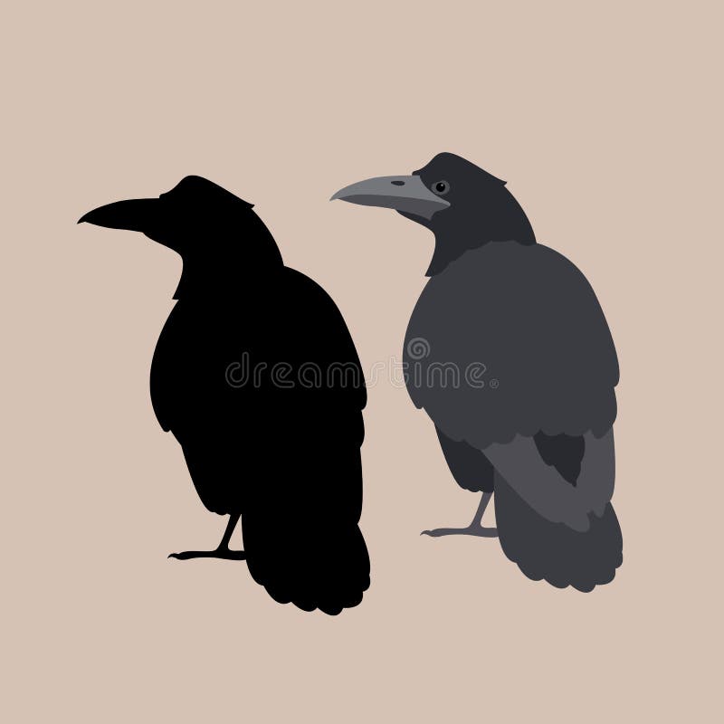 Raven Side View Pencil Drawing Stock Illustration - Illustration of ...