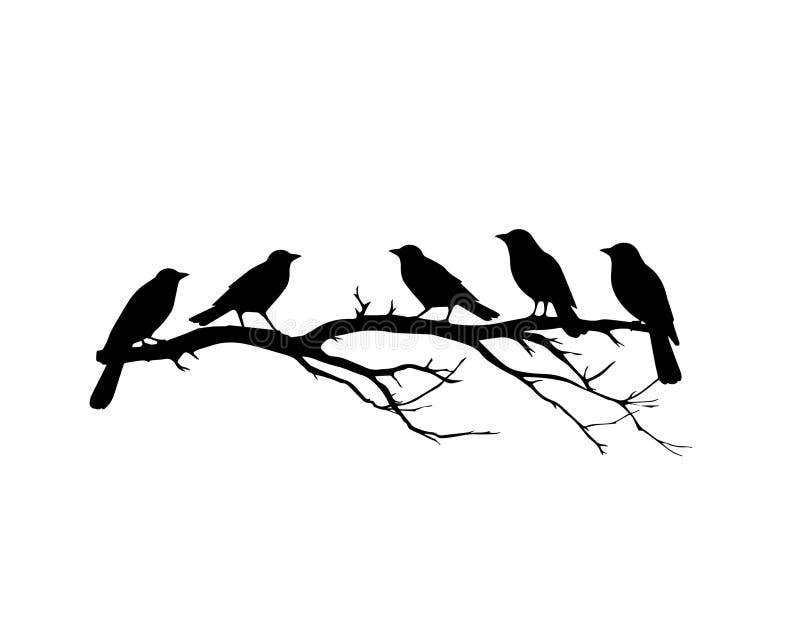 Raven Bird on Branch, Vector Stock Vector - Illustration of white ...