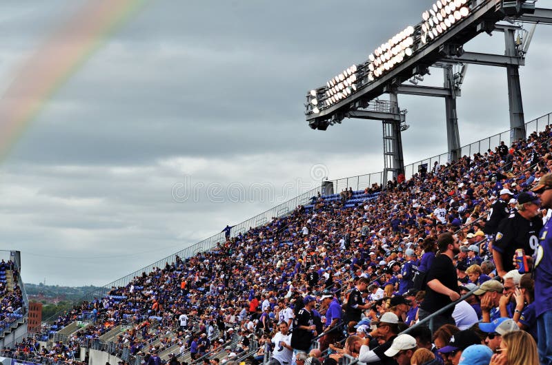 Nfl Ravens Fan Art Stock Photos - Free & Royalty-Free Stock Photos from ...