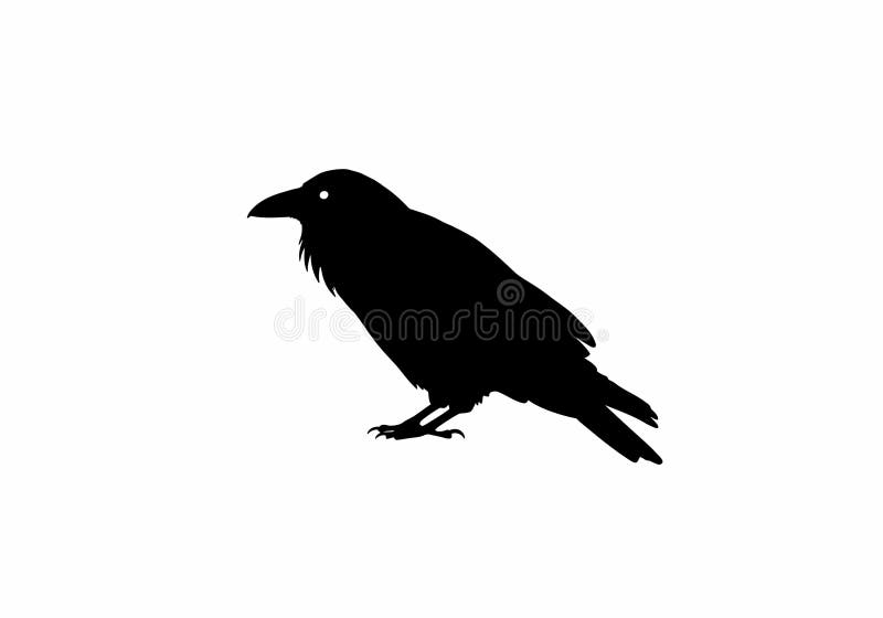 Ravens silhouette stock vector. Illustration of vector - 374894961