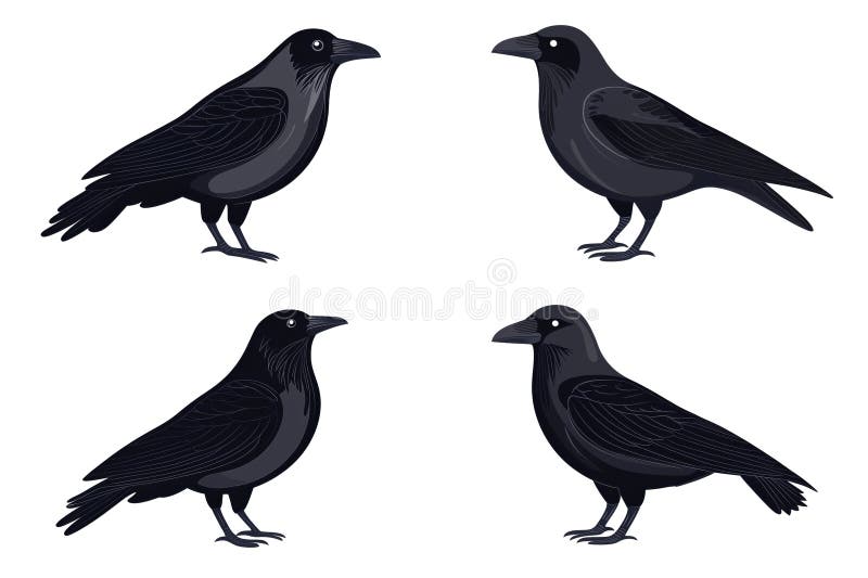 Stylized Black Ravens Stock Photos - Free & Royalty-Free Stock Photos ...