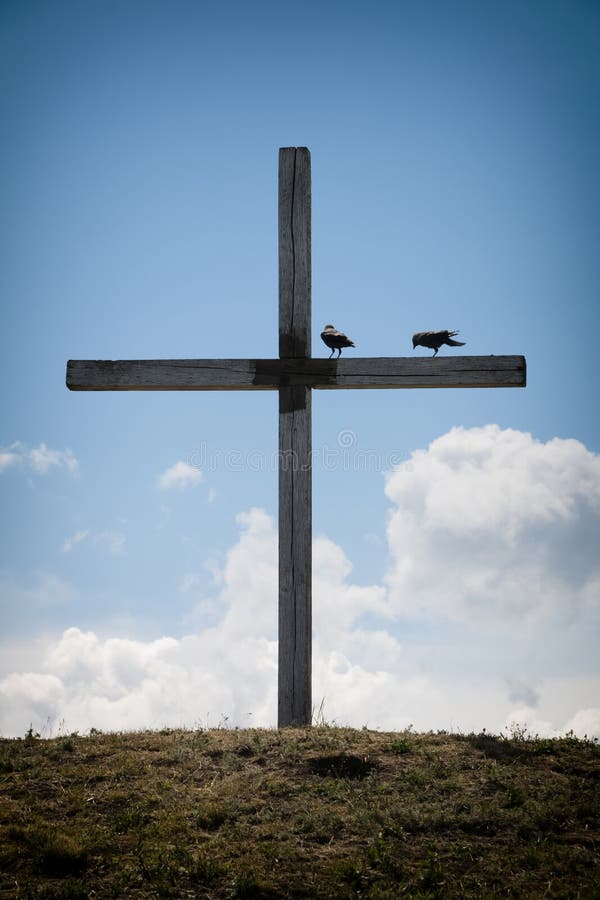 Ravens on a wooden cross stock image. Image of black - 245558781