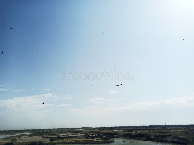 Ravi river view stock photo. Image of wave, ravi, bird - 248762932