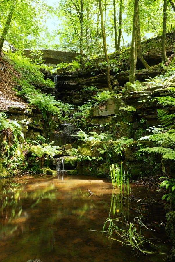 Ravijn stock afbeelding. Image of rust, engeland, stroom - 20138325