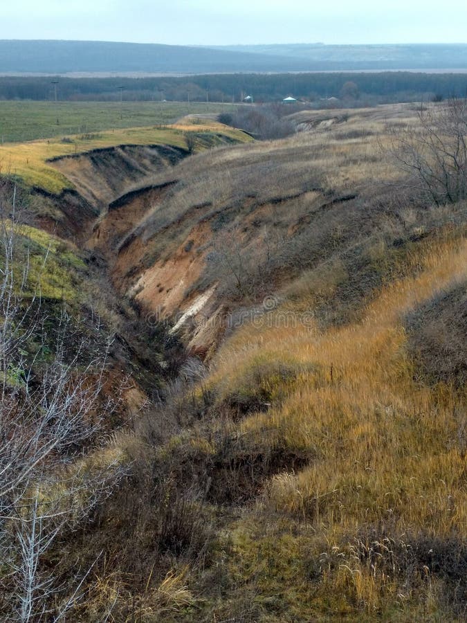 Ravin image stock. Image du russie, affleurement, prairie - 103594745