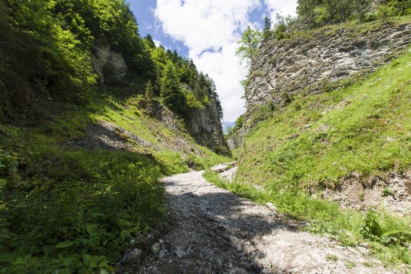 Ravin De Montagne Avec Un Flot Et Un Bon Nombre De Multicol Photo stock ...
