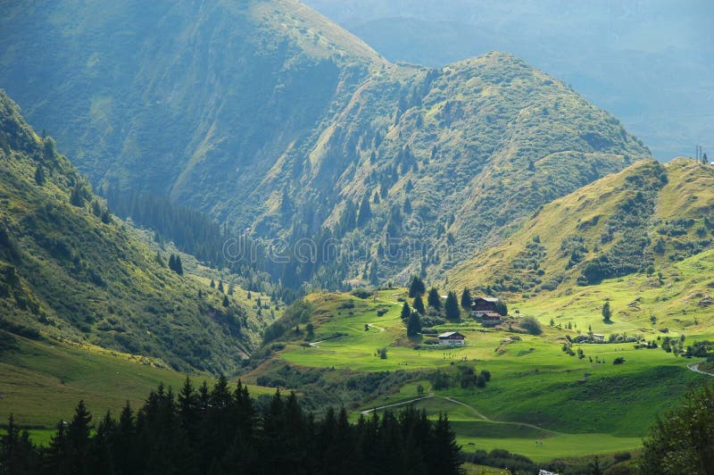 Ravina foto de stock. Imagem de ecologia, floresta, caminhada - 5428966