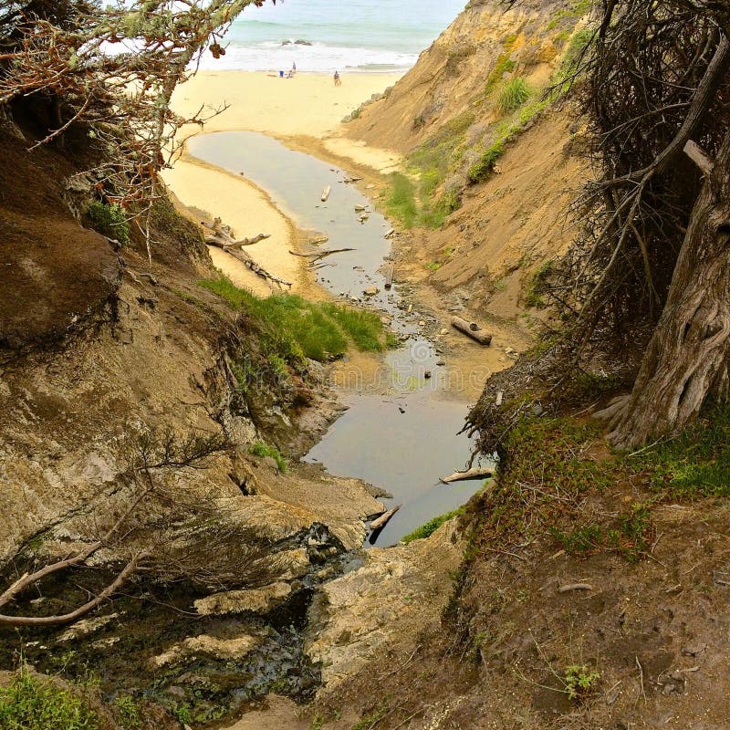 Ravina Fotos De Stock - Baixe 40,067 Fotos Royalty Free