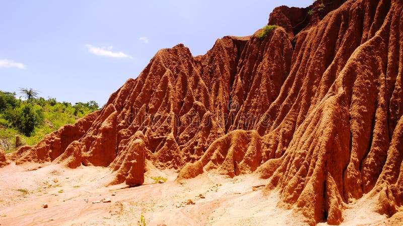 Ravina Fotos De Stock - Baixe 40,067 Fotos Royalty Free