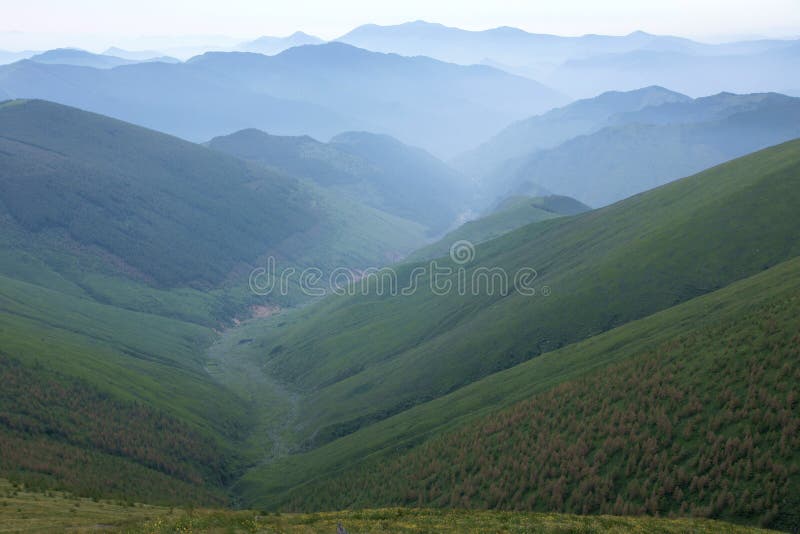 Ravina foto de stock. Imagem de ecologia, floresta, caminhada - 5428966