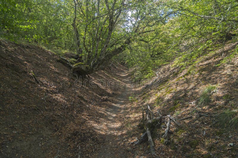 Ravina foto de stock. Imagem de formed, vista, ravina - 131179688