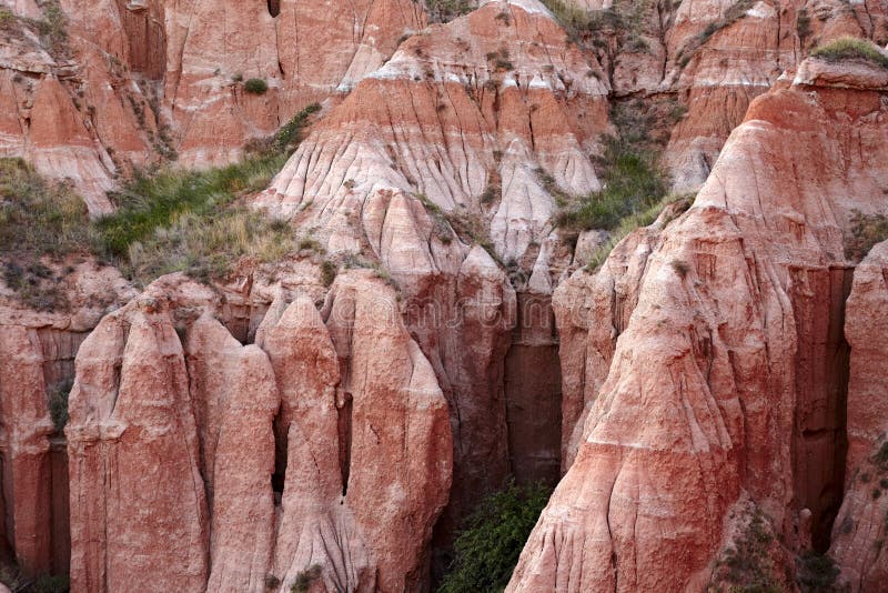 Ravina Vermelha Das Montanhas Carpathian Foto de Stock - Imagem de ...