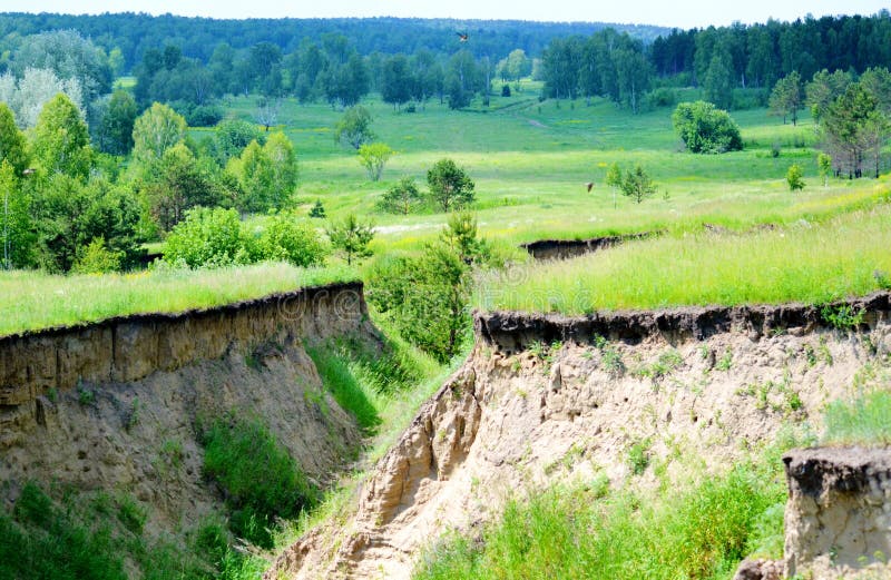 Ravinas do estepe imagem de stock. Imagem de branco, fresco - 37743705