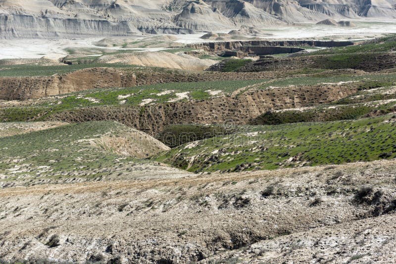 Ravinas do estepe imagem de stock. Imagem de branco, fresco - 37743705