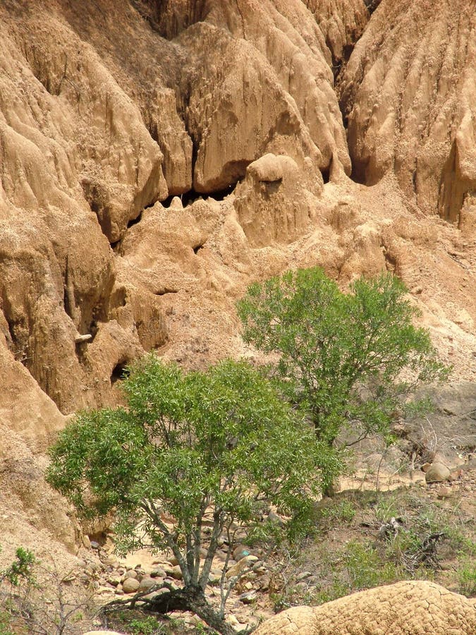 Ravine Picture. Image: 2593450