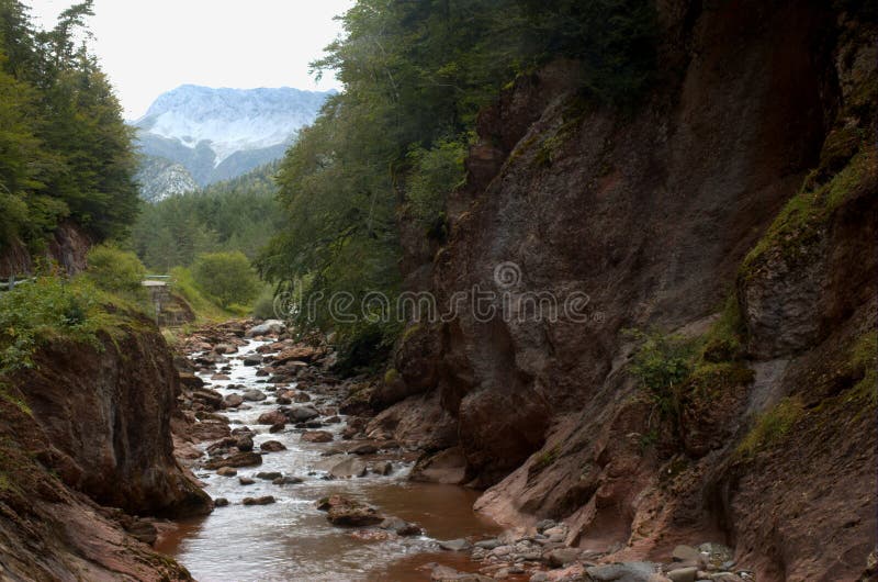 Ravine stock photo. Image of continental, europe, hiking - 5428966