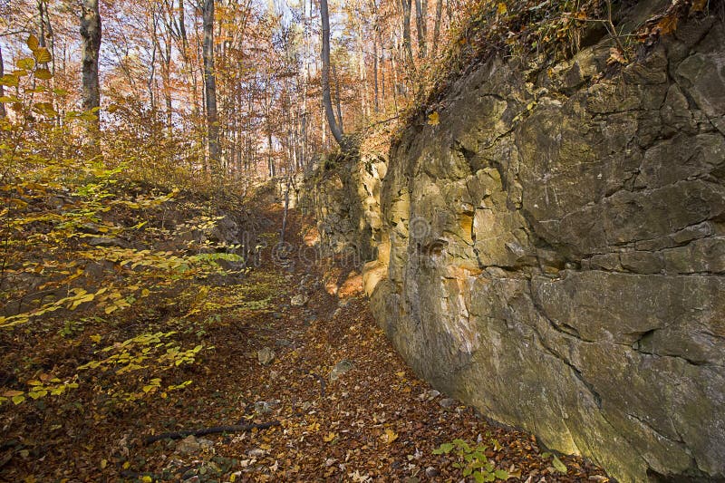 Ravine in an autumn forest stock photo. Image of autumn - 331838276