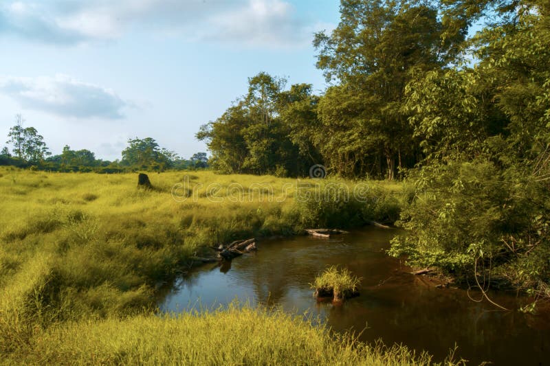 Beautiful ravine stock photo. Image of short, waterfall - 77146738